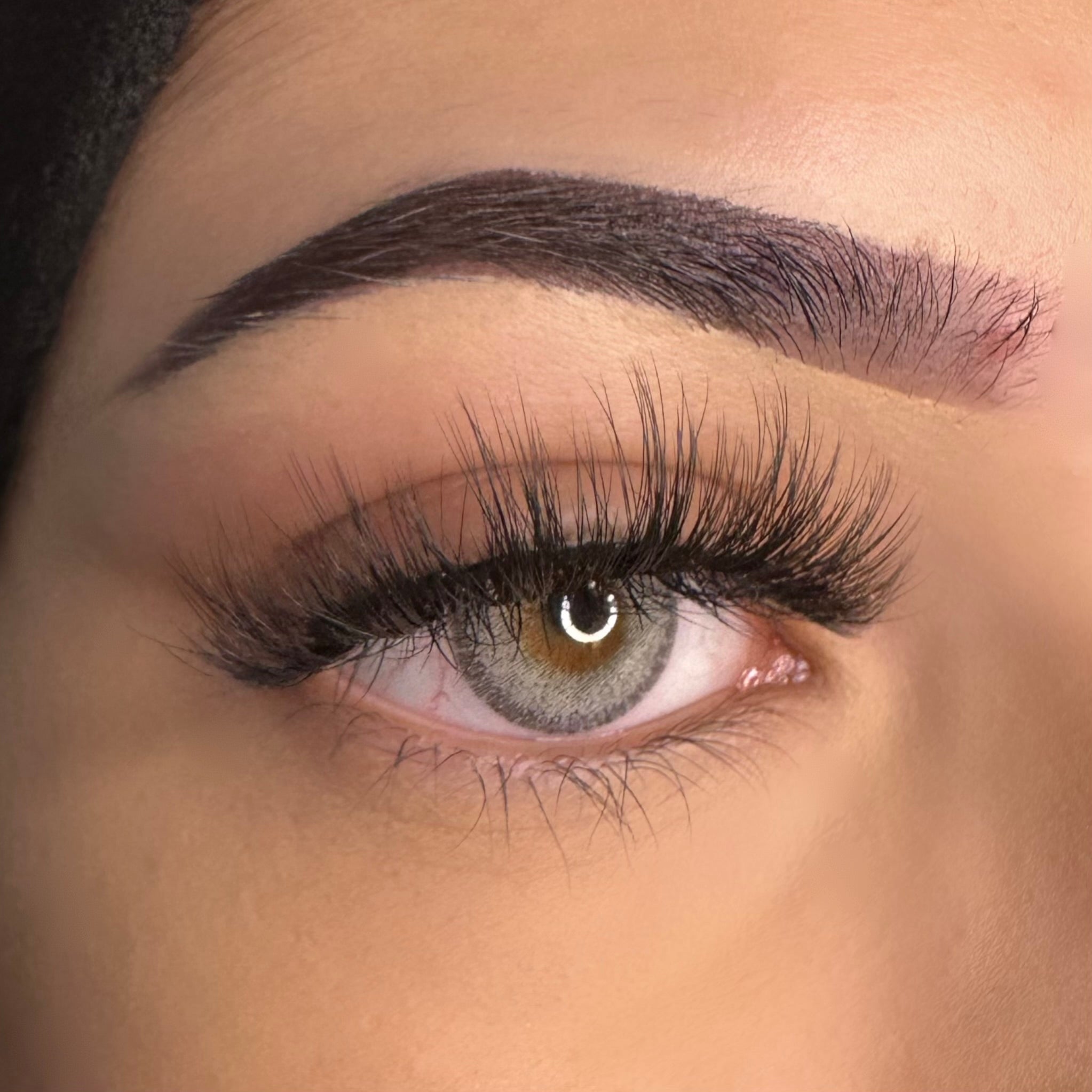 Diva Grey – thecosmeticline